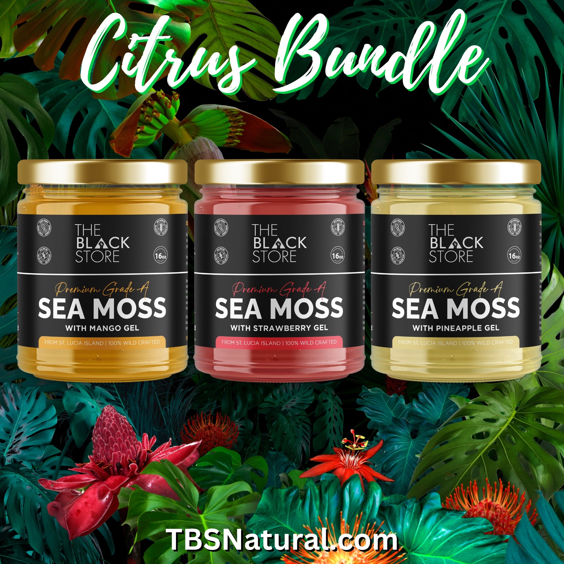 SeaMoss Bundles – TBS Natural